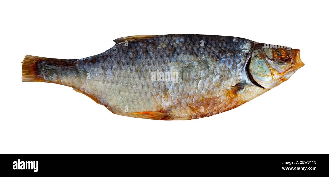 Dried salted roach fish, top view. Isolated over white background Stock ...