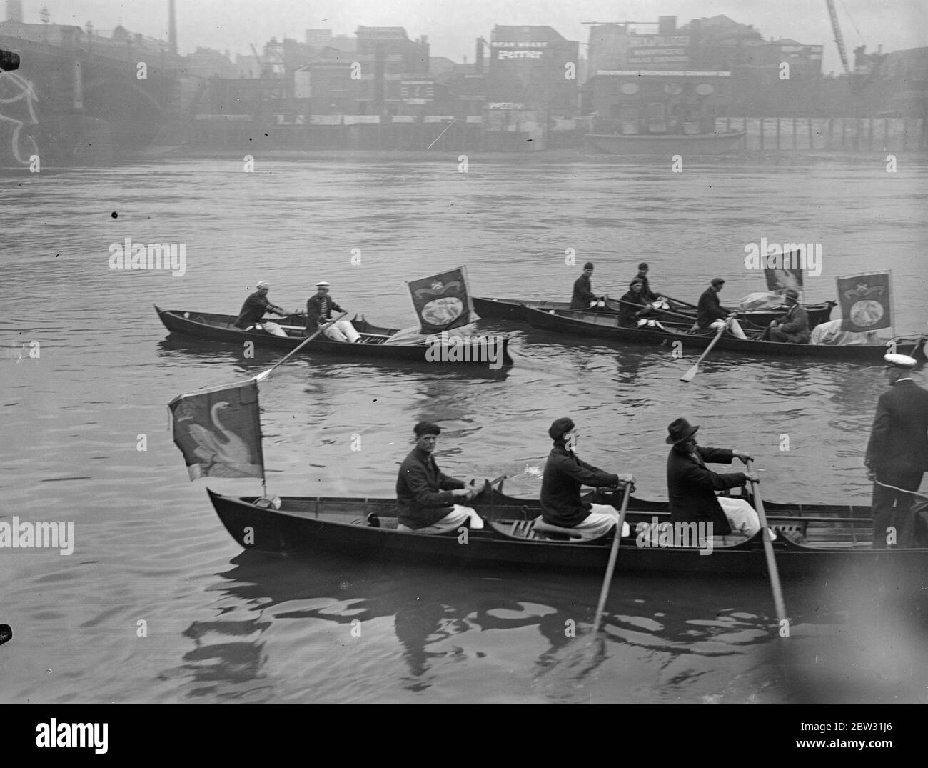 Swan upping commences on the Thames . The ancient custom of ' Swan ...