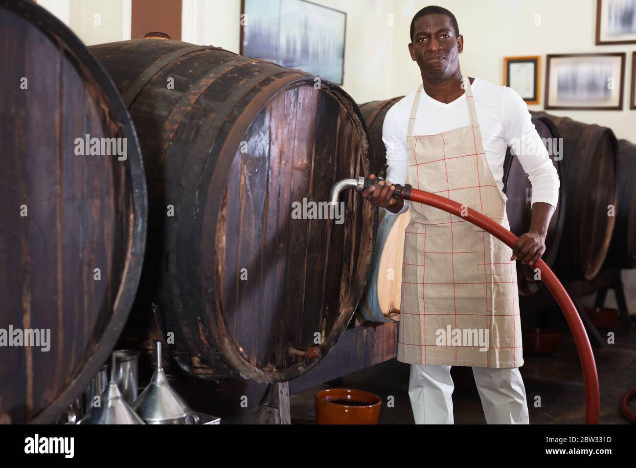 Diligent cheerful wine producer controlling production wine in winery ...