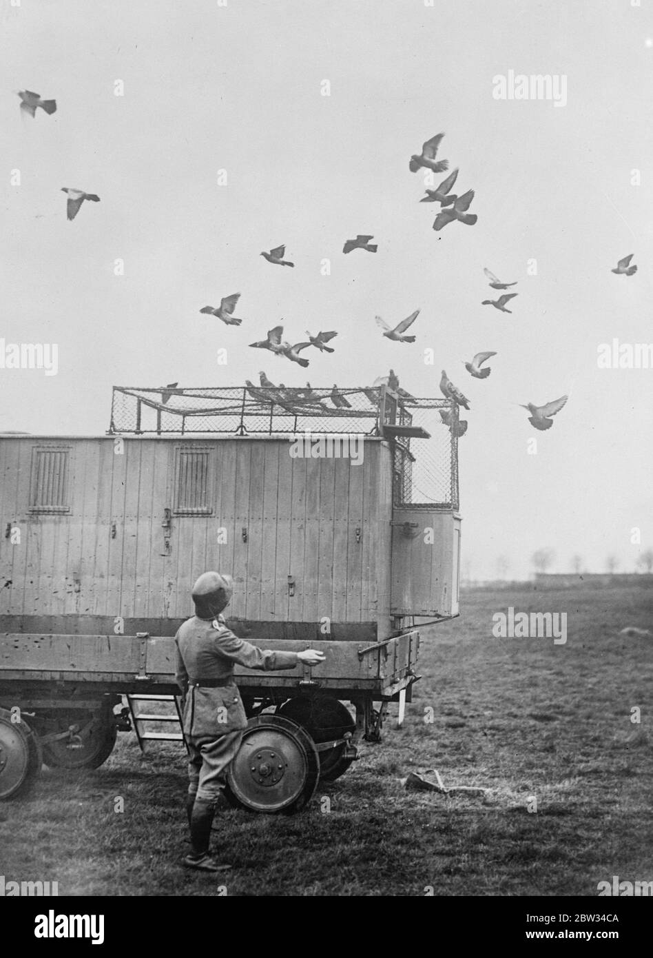 Germany ' s remarkable pigeon army on manoeuvres . There are 21000 ...