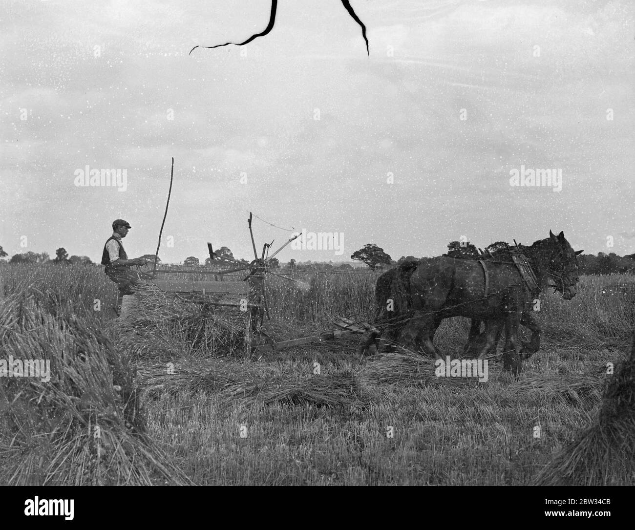 Margaret roding hi-res stock photography and images - Alamy