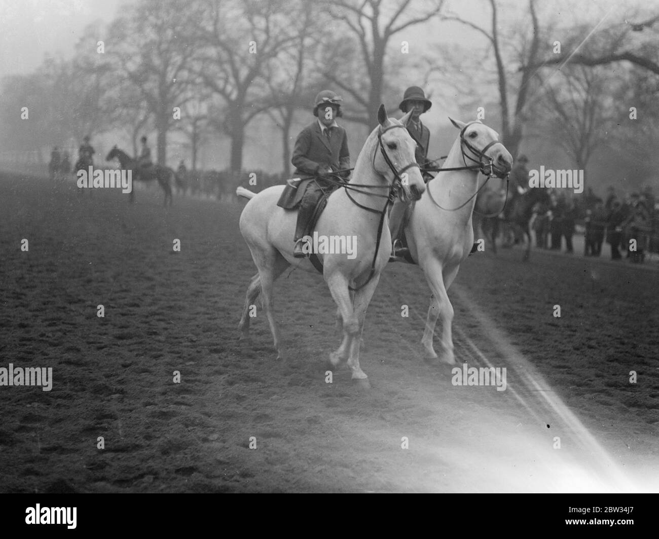 White horse riders in a row . Miss Wendy Genze Andrews ( right ) and ...