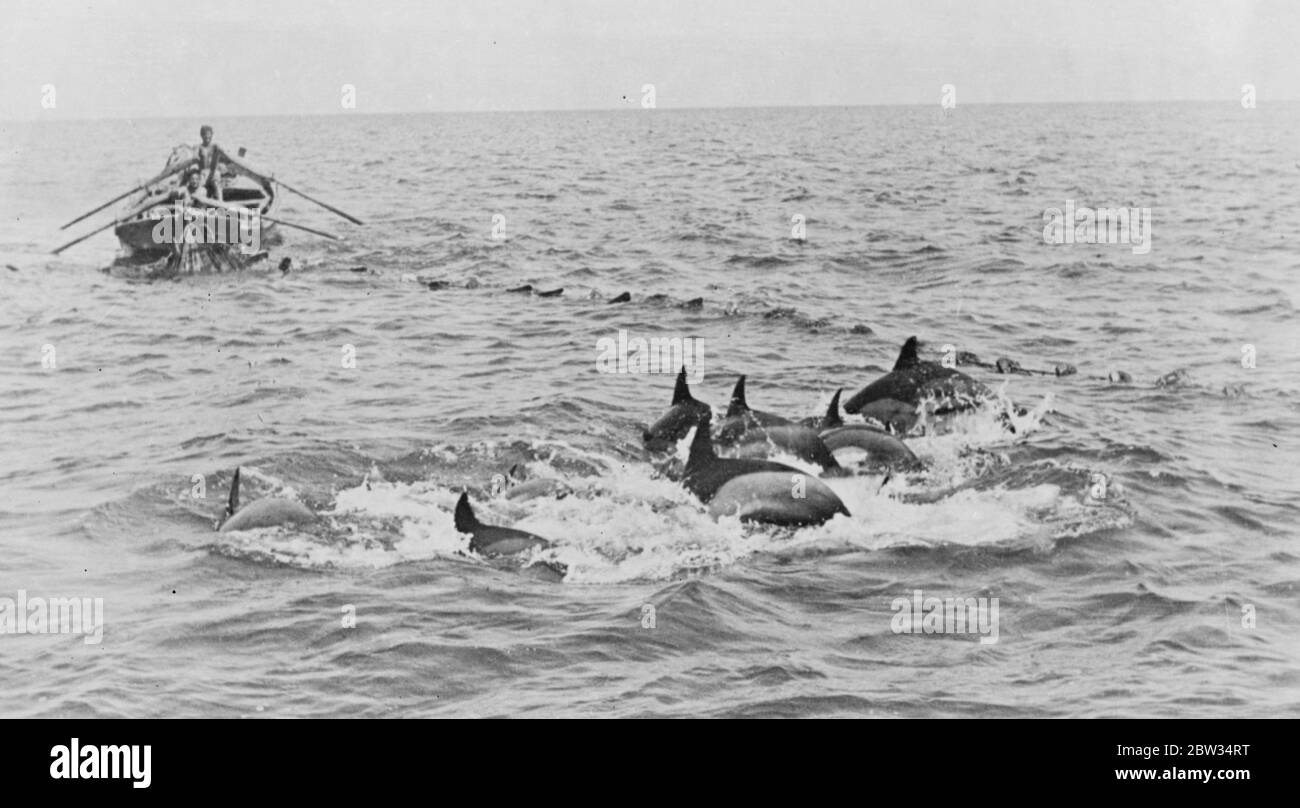 Soviet government hi-res stock photography and images - Alamy