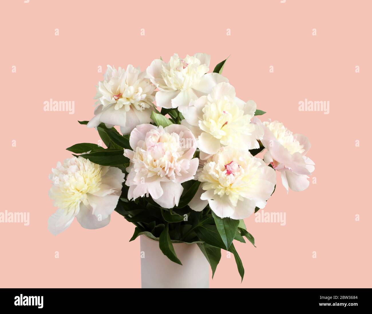 Light pink peonies hi-res stock photography and images - Alamy