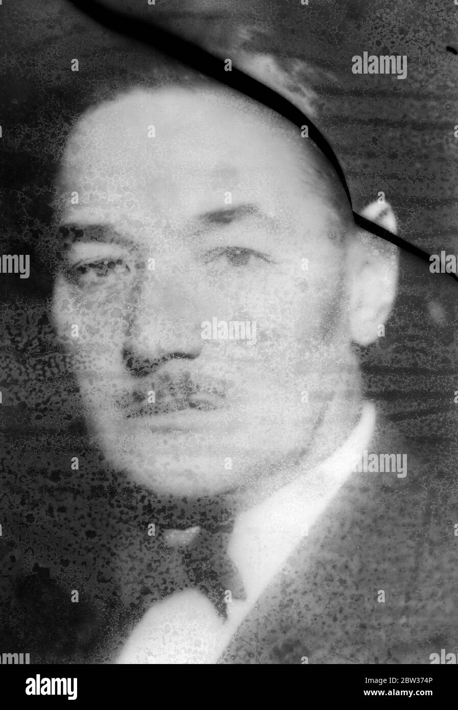 Tyler Herbert's Instagram, Twitter & Facebook on IDCrawl