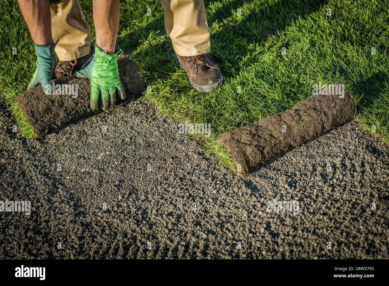 Residential Lawn Grass Installation From Rolls. Caucasian Gardener ...