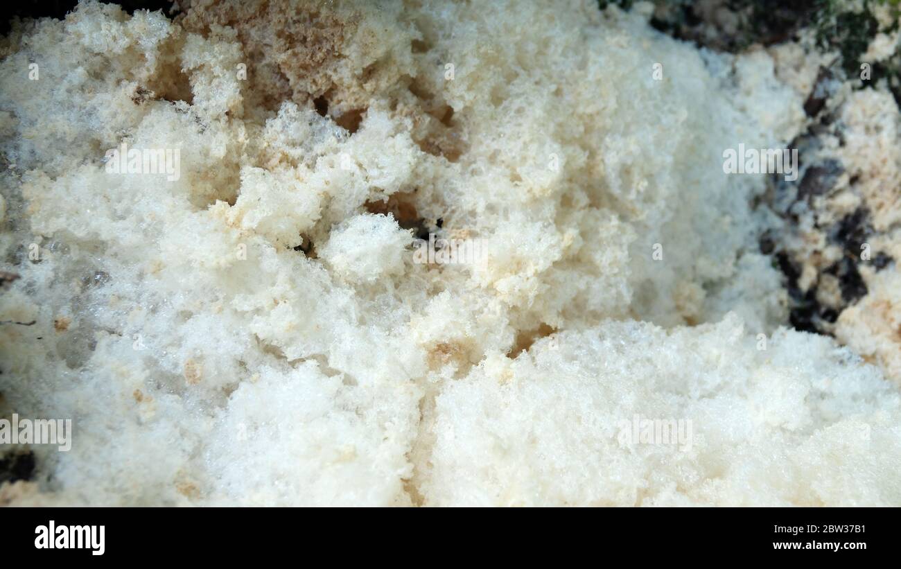 Concentrated foam in stream hi-res stock photography and images - Alamy