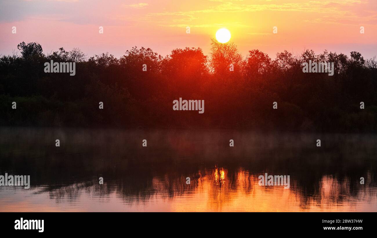 Rising water table hi-res stock photography and images - Alamy