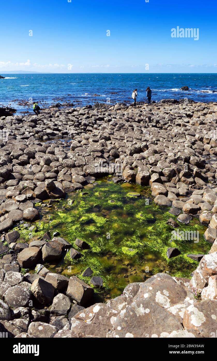 The natural landscape of Giant's Causeway in Northern Ireland Stock ...