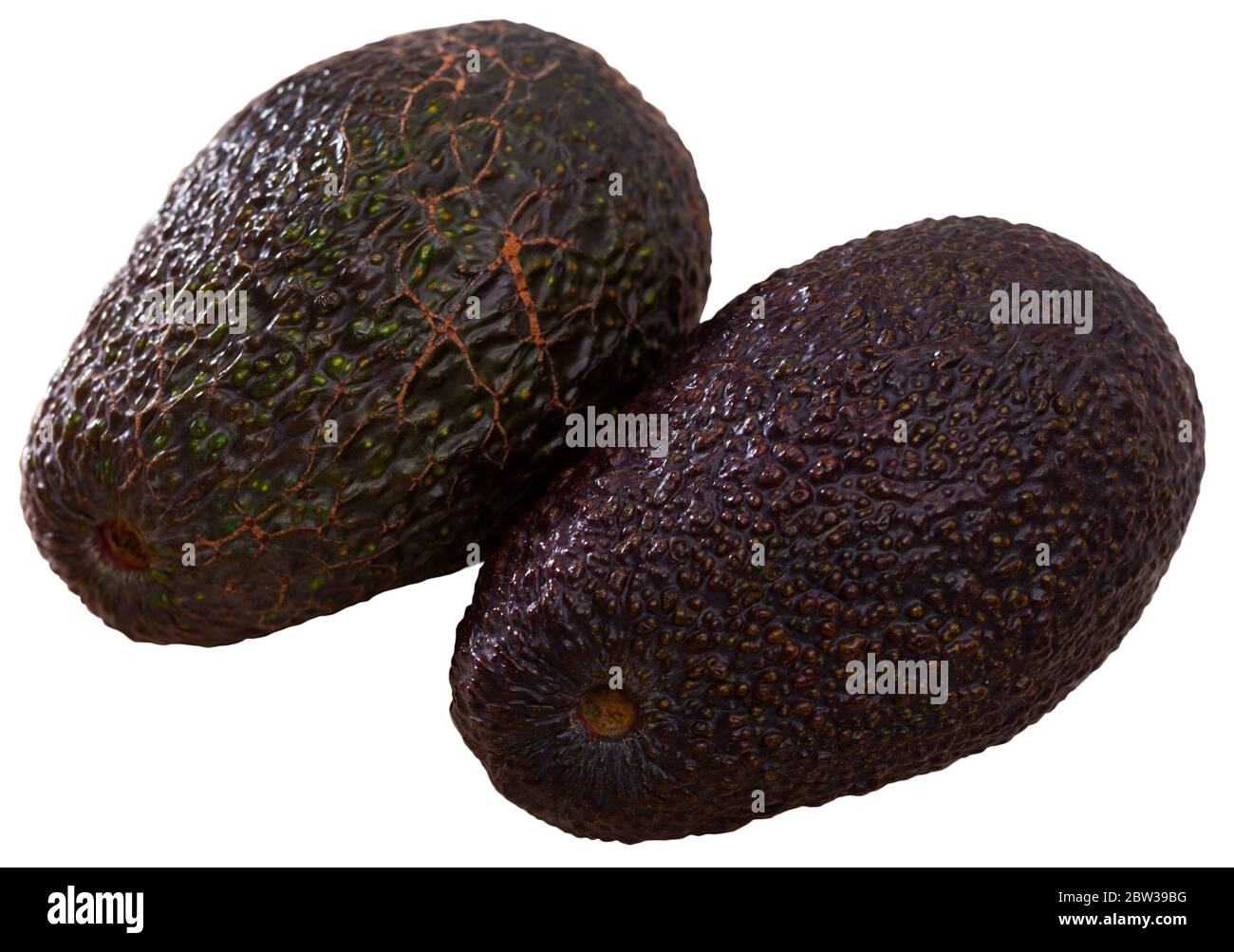 Closeup of two fresh and ripe Hass avocados. Isolated over white ...
