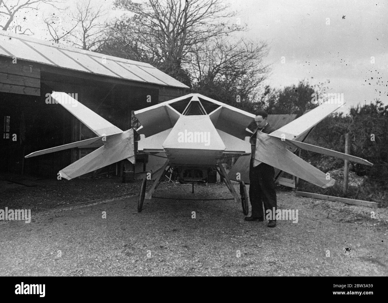 Stream insect Black and White Stock Photos & Images - Alamy