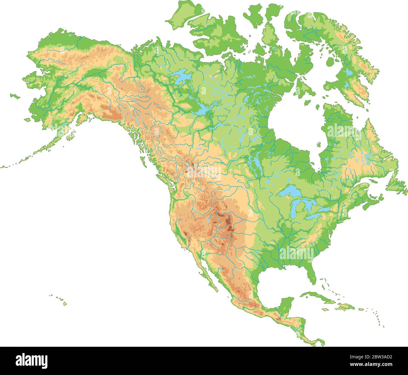 Detailed illustration north american Cut Out Stock Images & Pictures ...