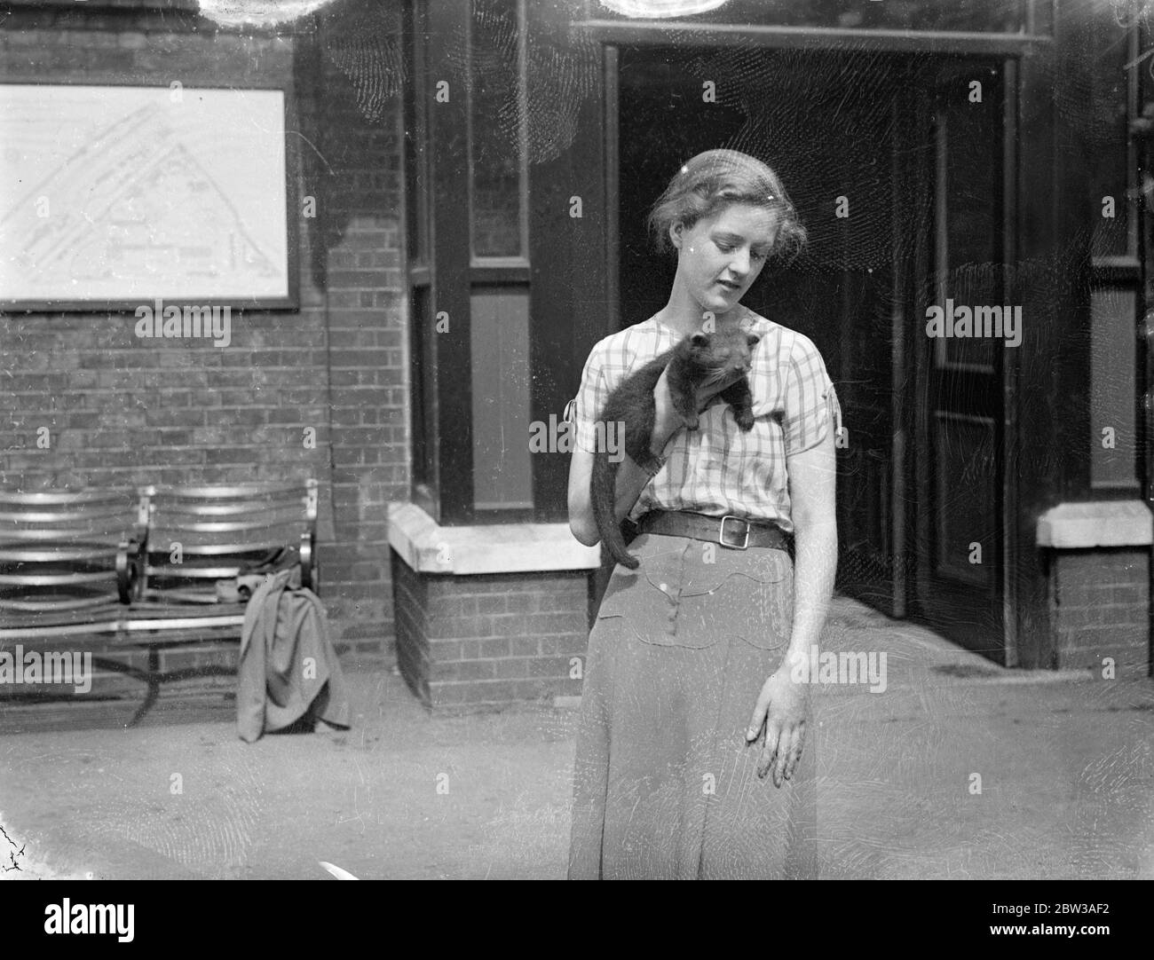 First bearcat ever to be born in captivity is new attraction at the zoo ...