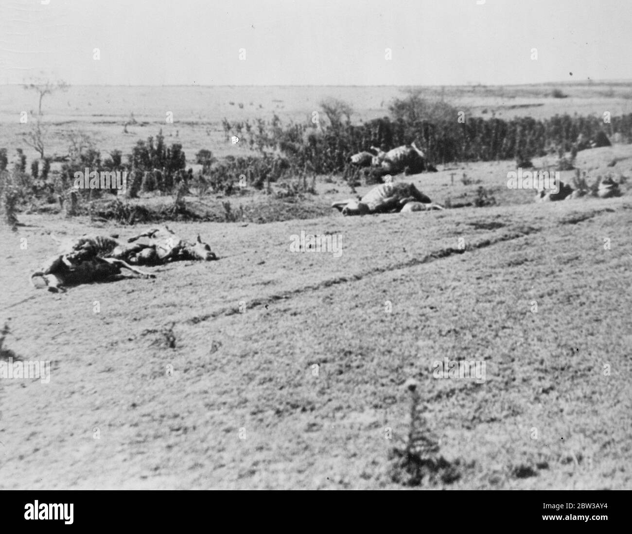 Starvation and drought hi-res stock photography and images - Alamy