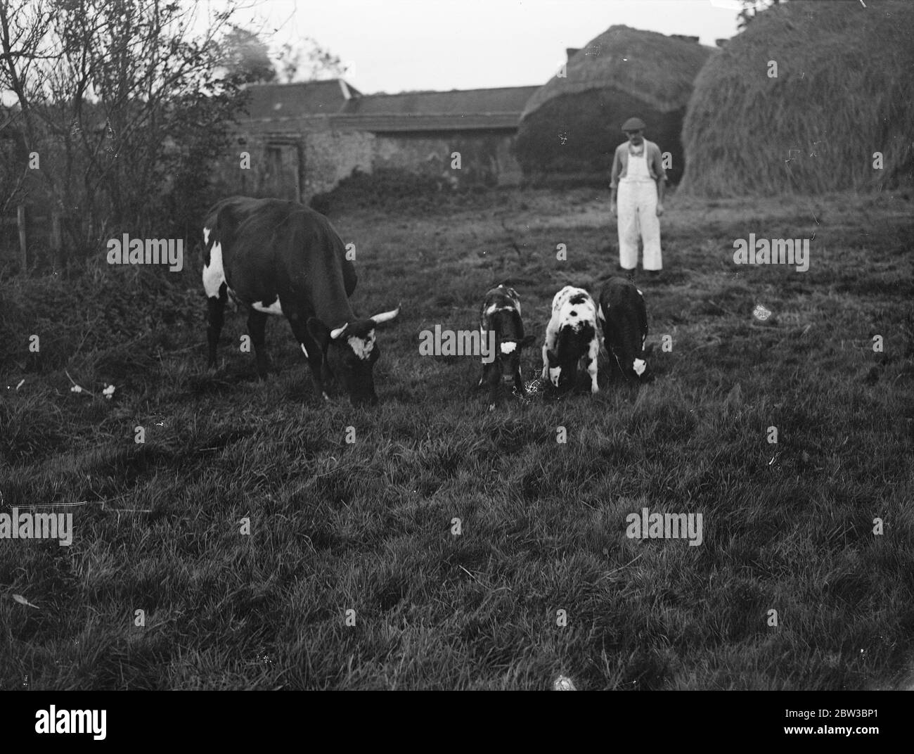 Braishfield hi-res stock photography and images - Alamy