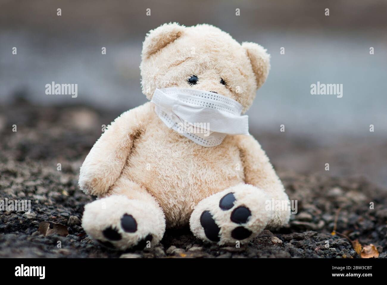 Are Teddy Bears Dangerous