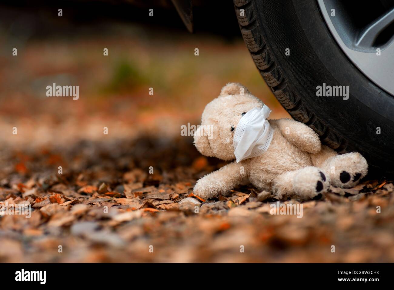 Bear damage car hi-res stock photography and images - Alamy