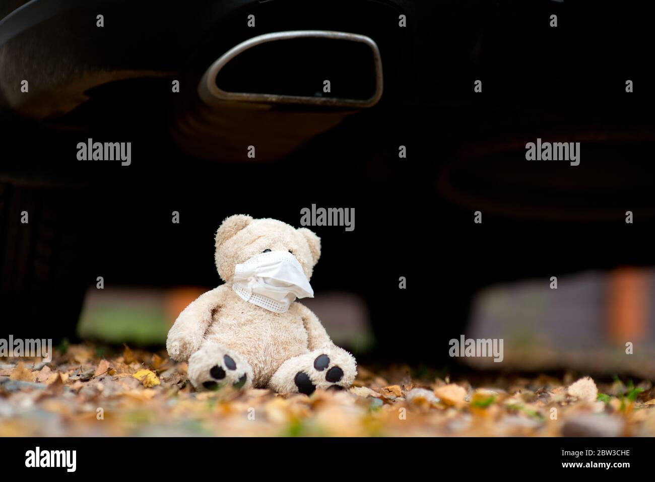 Bear damage car hi-res stock photography and images - Alamy