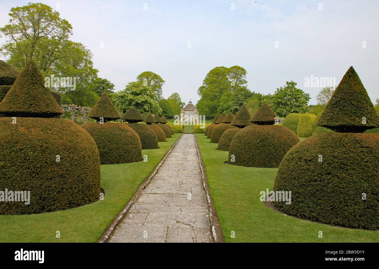 Cone shaped shrubs hi-res stock photography and images - Alamy