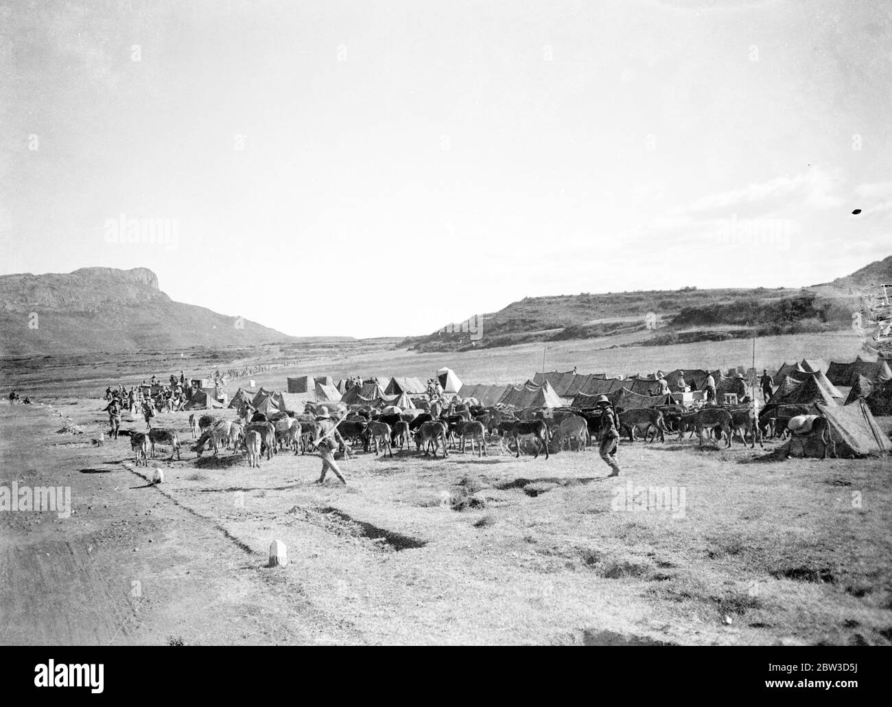 Conflict photography Black and White Stock Photos & Images - Alamy