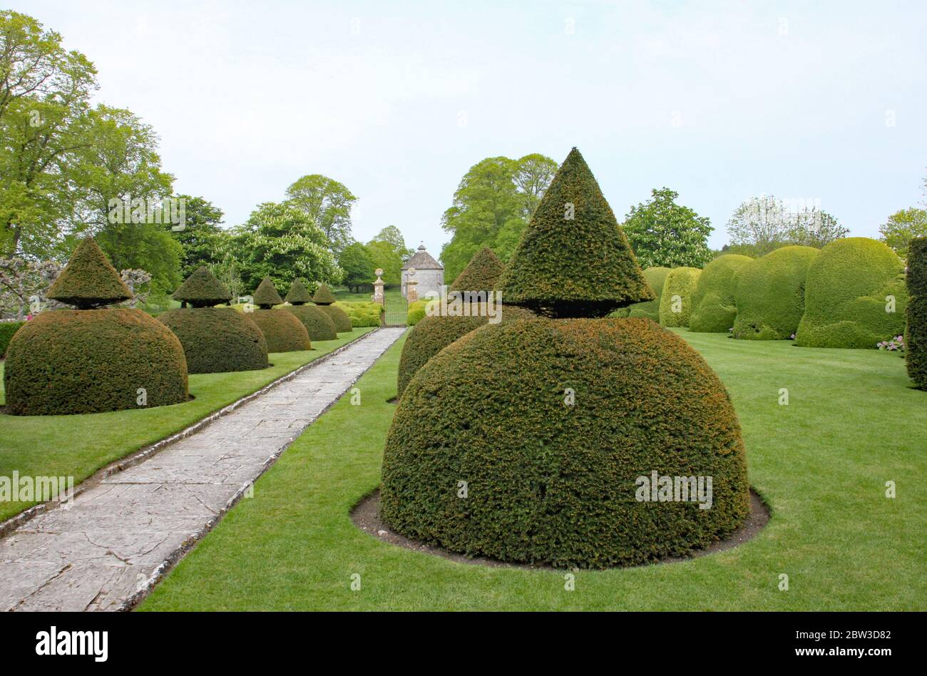 Cone shaped shrubs hi-res stock photography and images - Alamy