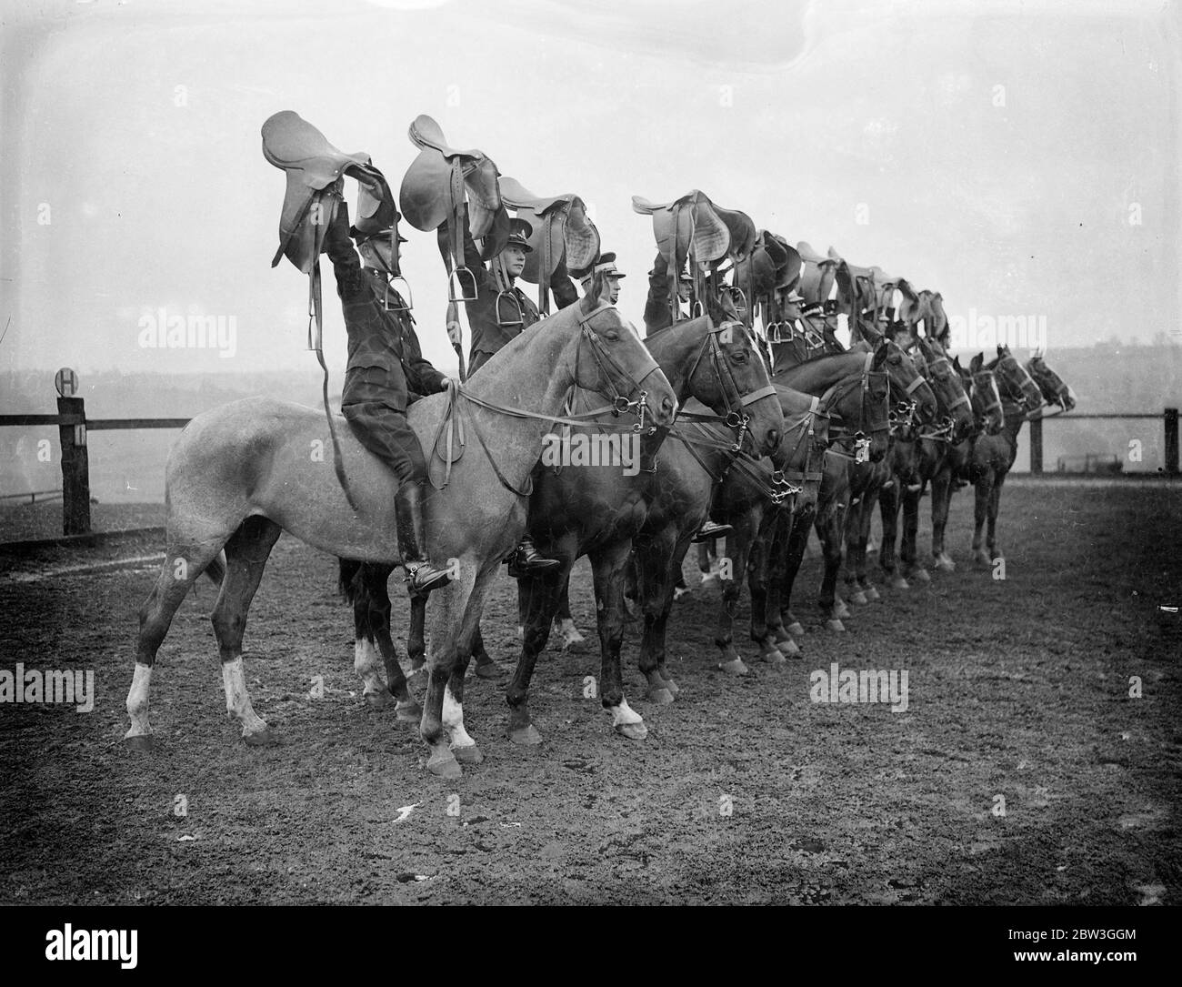 Cavalry rehearse for Royal tournament . Unsaddling their mounts over ...