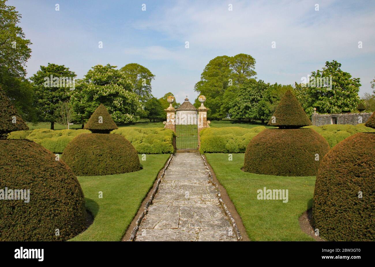 Cone shaped shrubs hi-res stock photography and images - Alamy