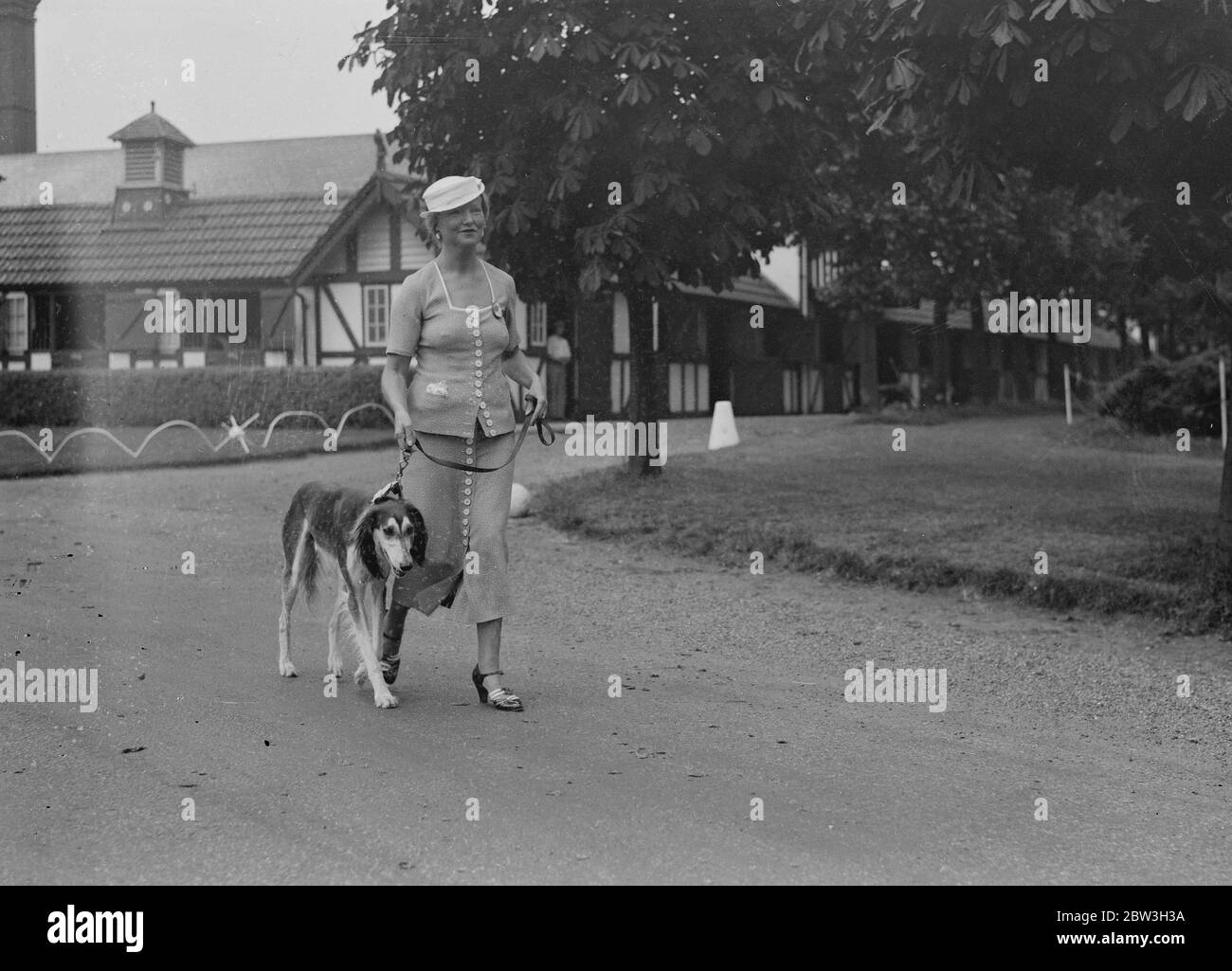 Saluki show opens at Ranelagh club . 1 July 1935 Stock Photo - Alamy