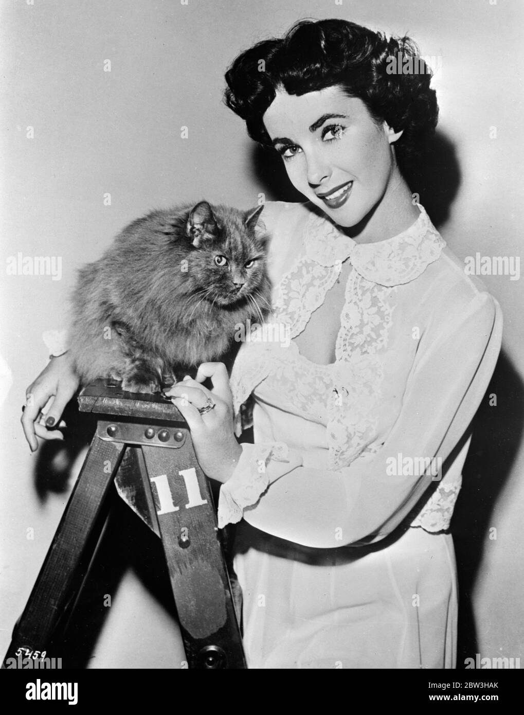 Elizabeth Taylor with a cat Stock Photo - Alamy