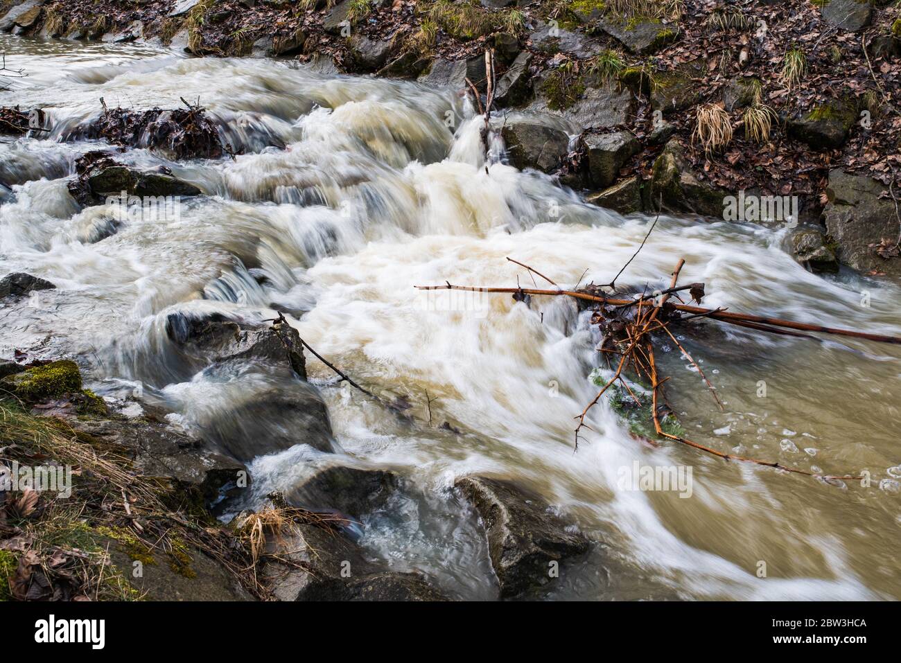 Spring water stream flowing through the forest Stock Photo - Alamy
