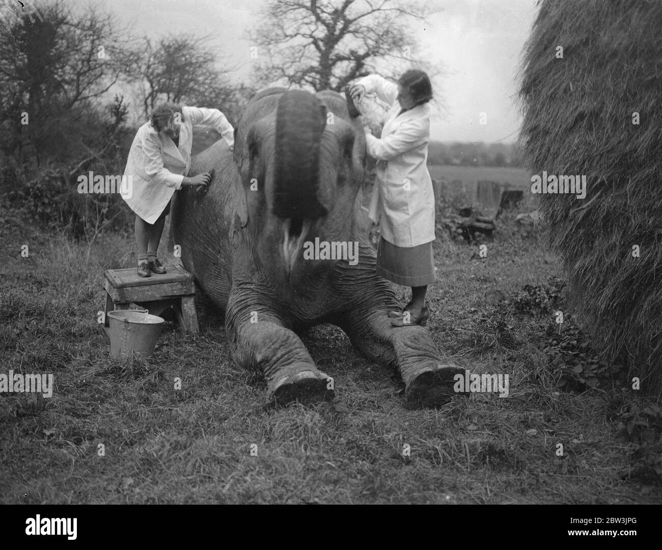 48782 b hi-res stock photography and images - Alamy