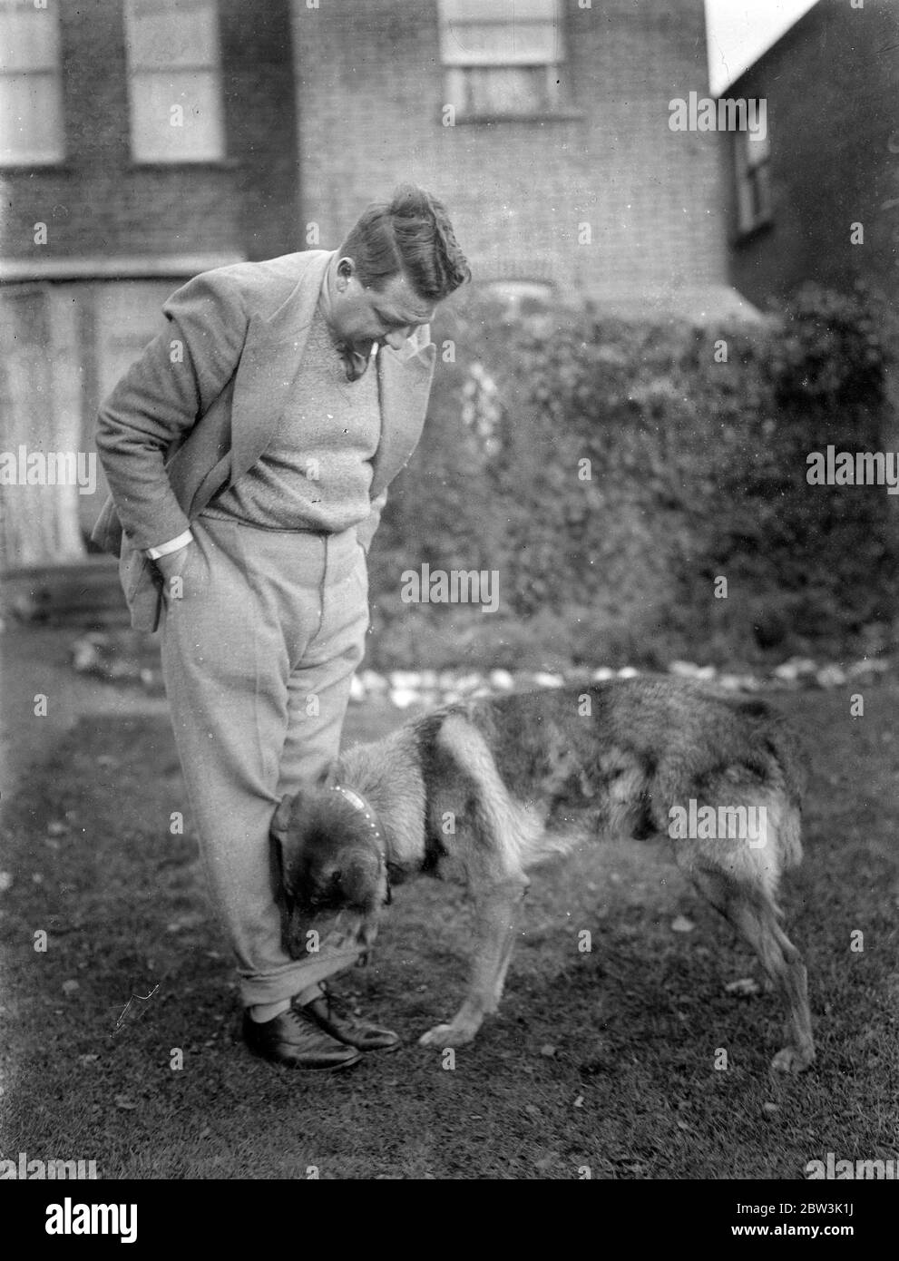 Bob the dog hi-res stock photography and images - Alamy