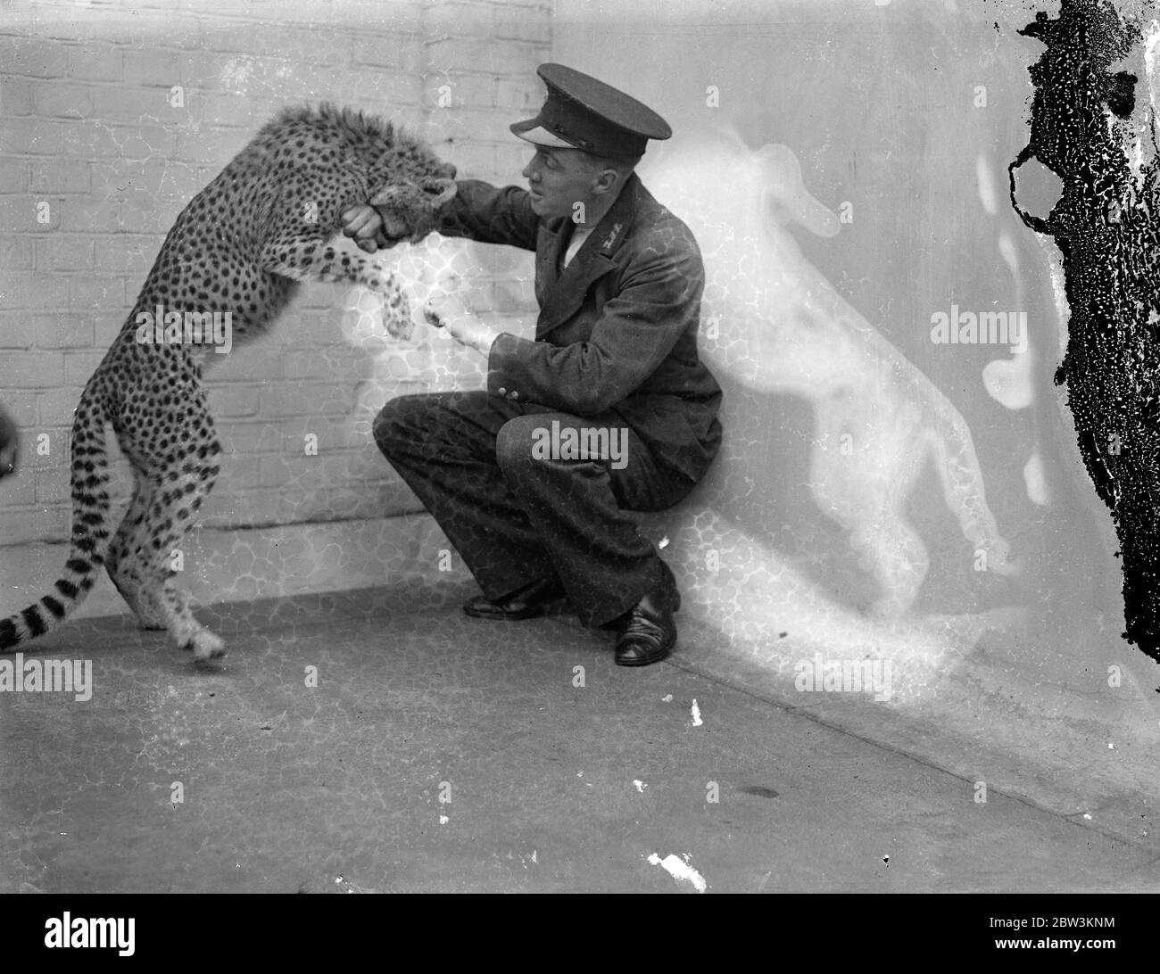 Happy new year 1936 hi-res stock photography and images - Alamy