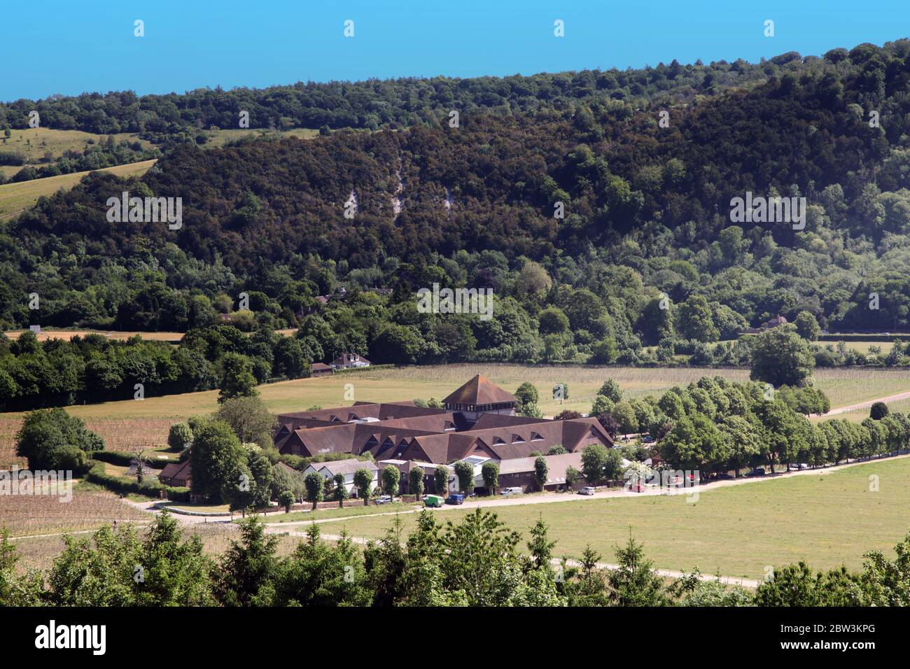 View of Denbies vineyard wine estate in the Surrey Hills, Dorking, UK ...