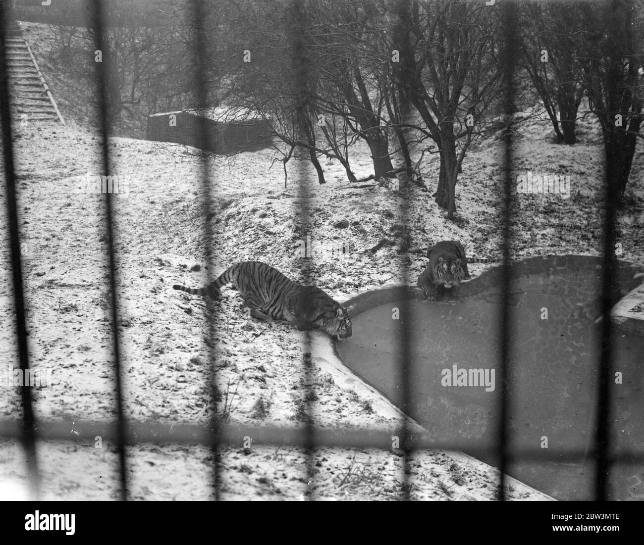 The first fall of snow in the home counties covered the famous ...