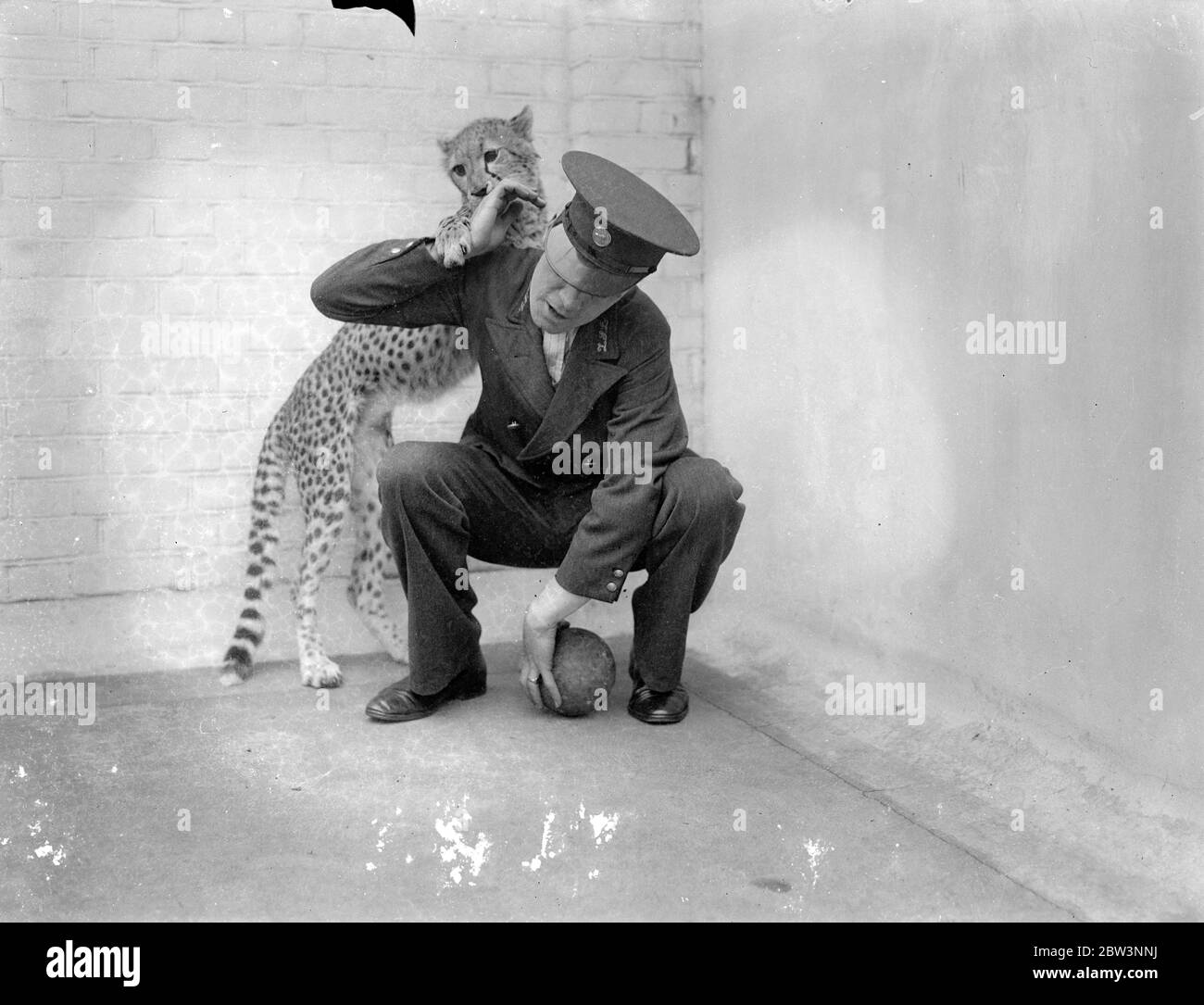 Old fashion cage hi-res stock photography and images - Alamy