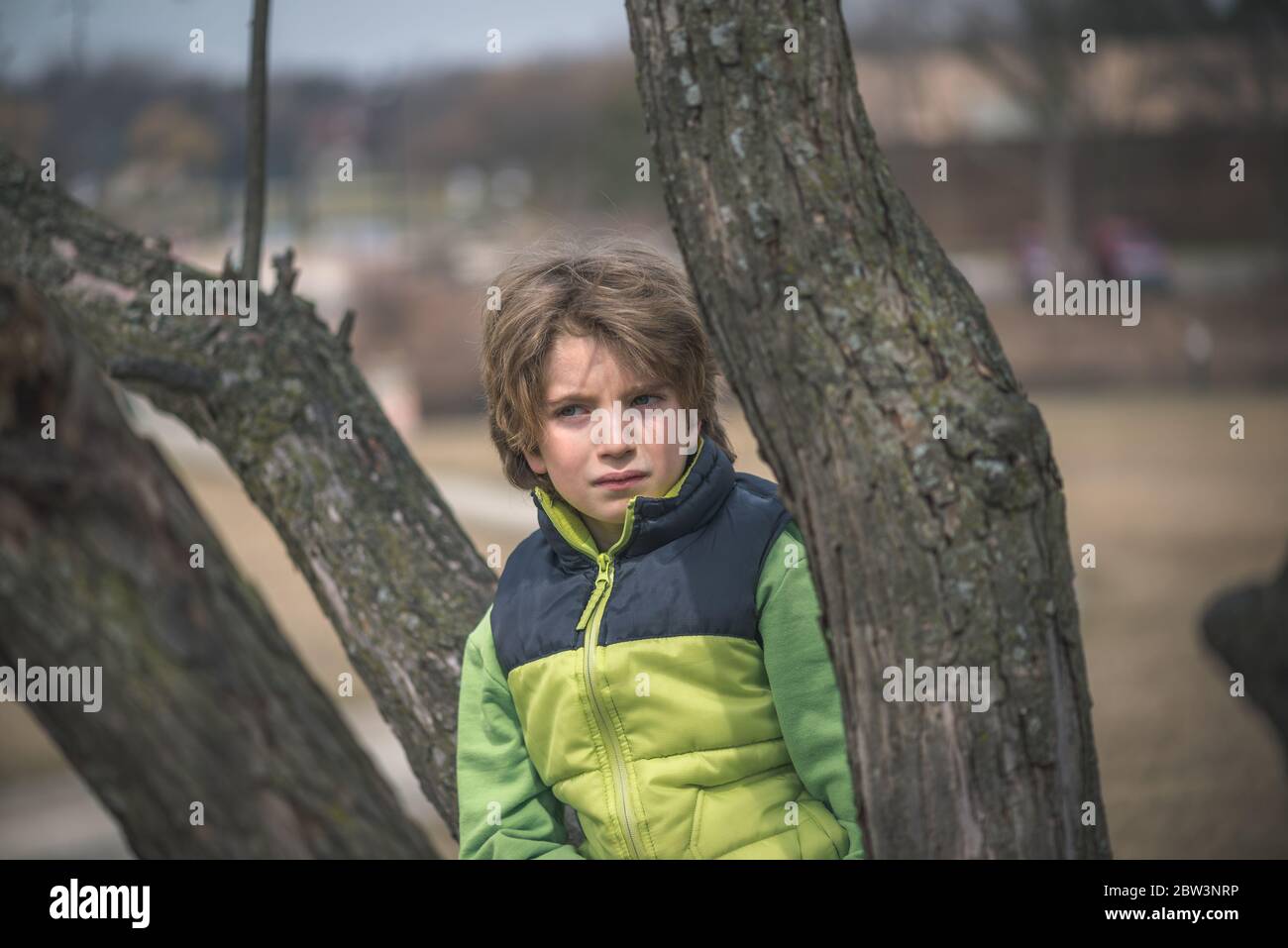 Outdoor portrait of a boy on a tree Stock Photo - Alamy