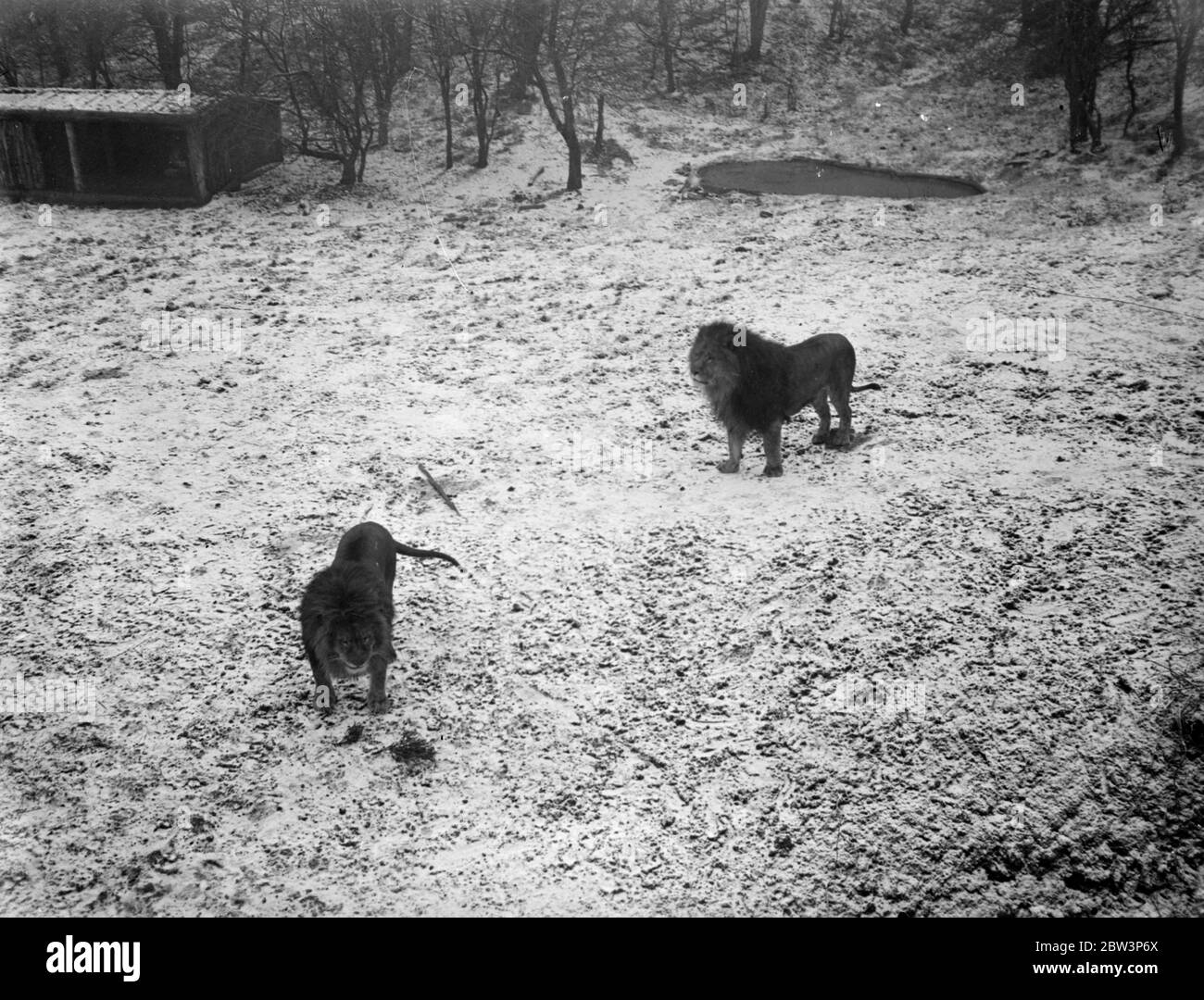 The first fall of snow in the home counties covered the famous ...
