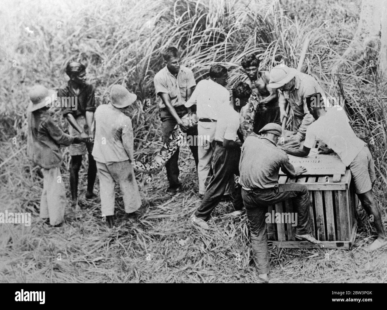 Death box Black and White Stock Photos & Images - Alamy