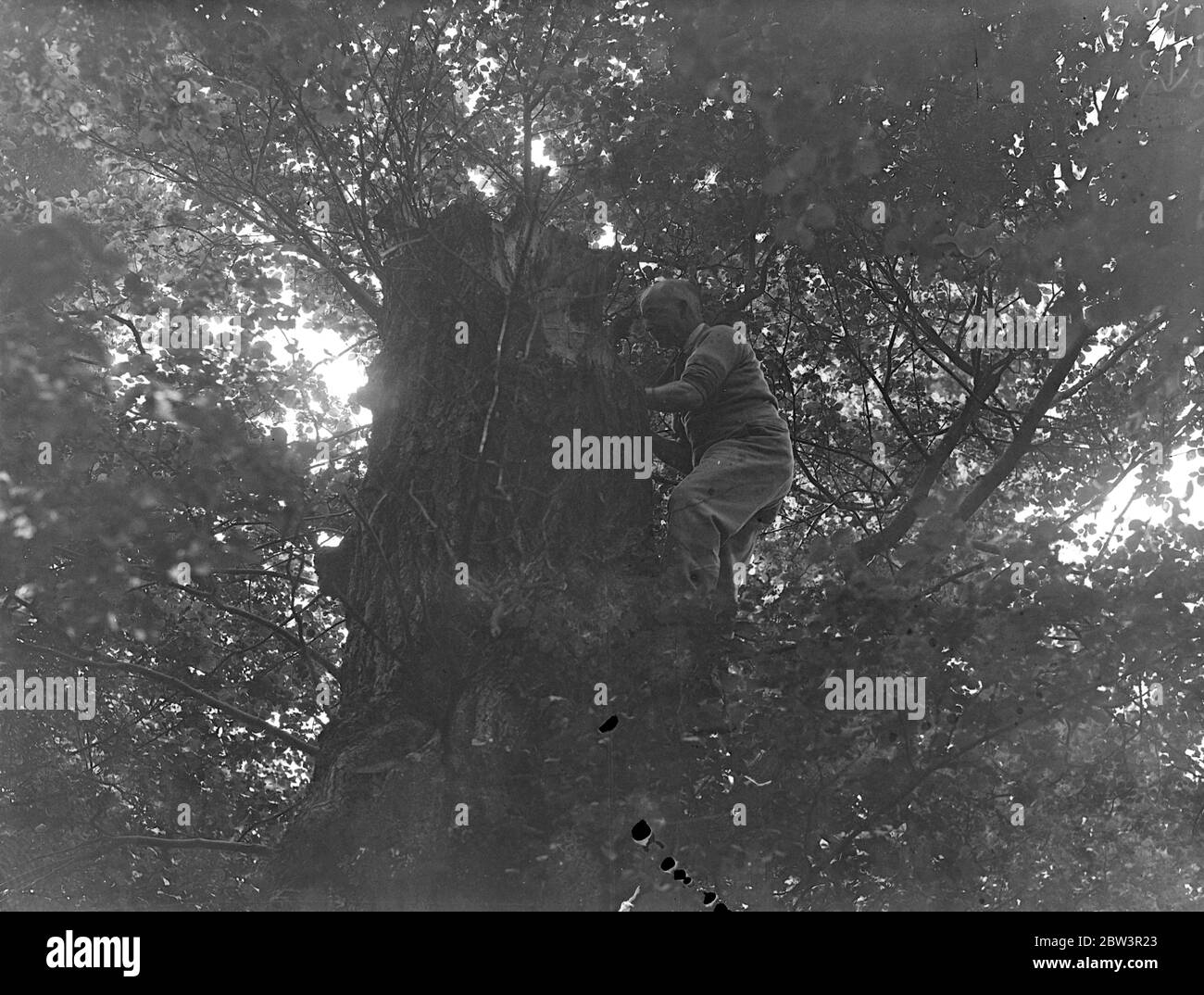 Two black crow Black and White Stock Photos & Images - Alamy