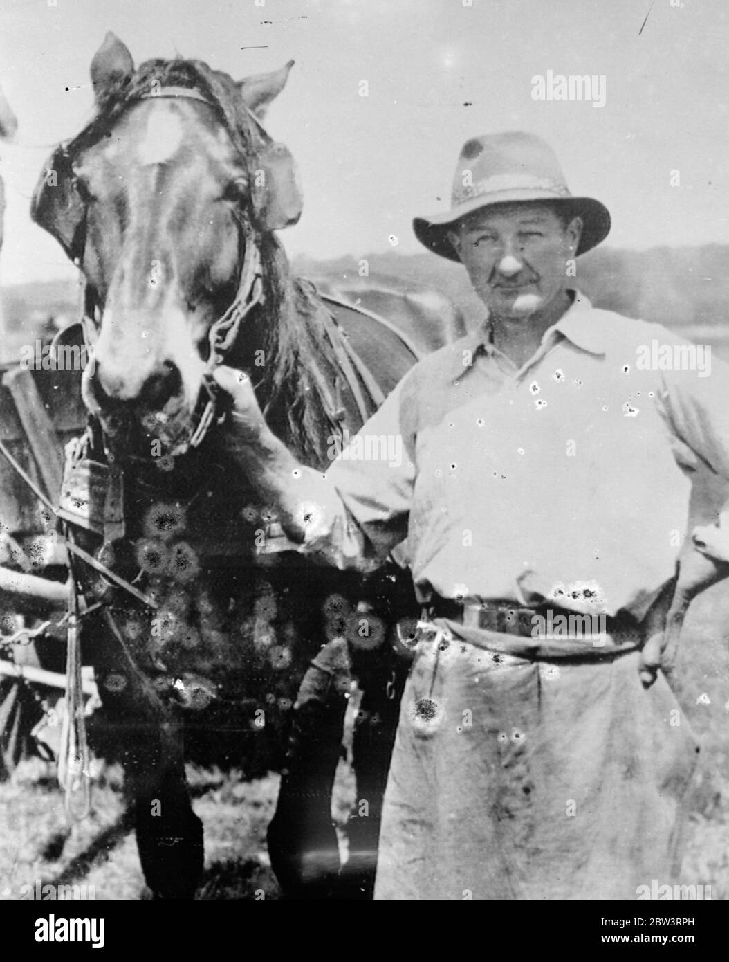 1930s farm life hi-res stock photography and images - Alamy
