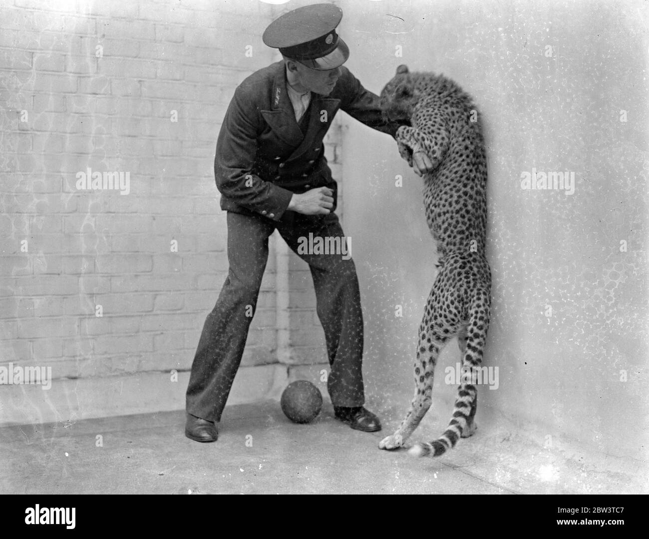 Happy new year 1936 hi-res stock photography and images - Alamy
