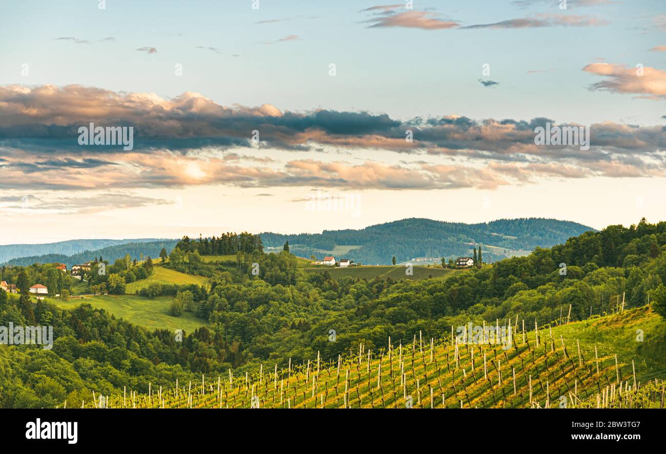 Gamlitz town in Austria Vineyards in Sulztal area south Styria, famous ...