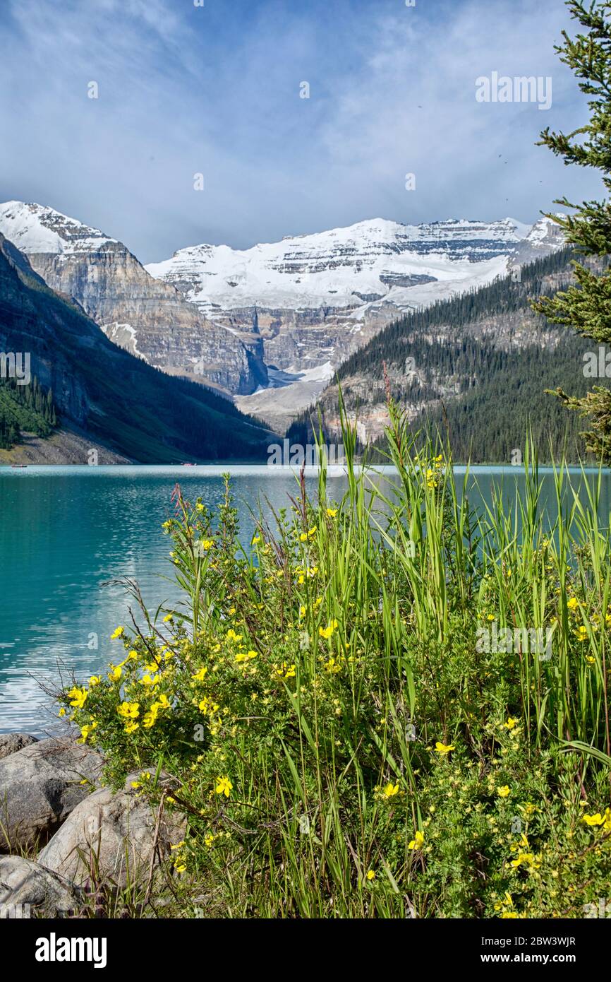 Landscape of beautiful Lake Louise and mountains in Alberta, Canada ...