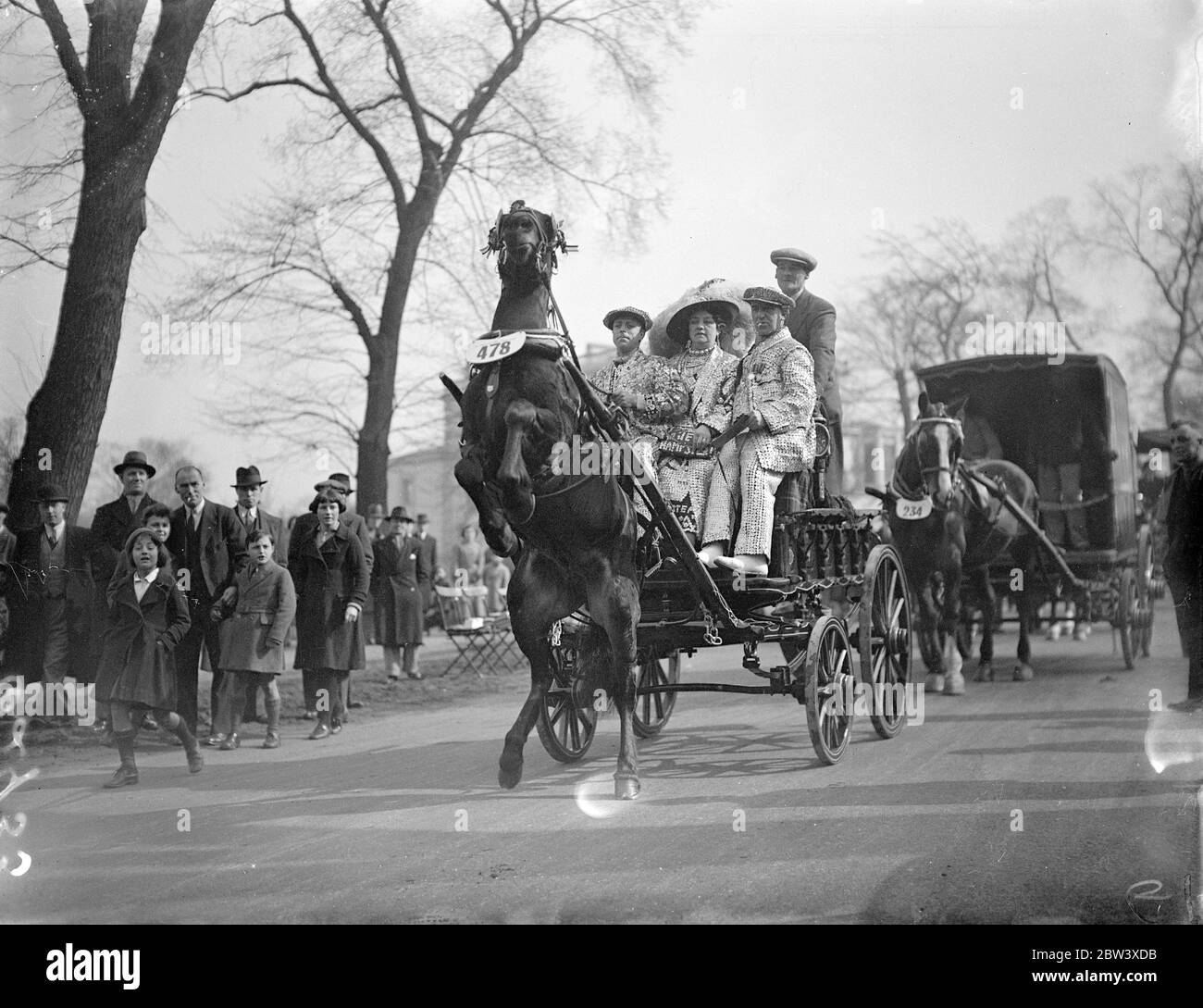 Five hundred and thirty van horses took part in Easter Monday Grand ...