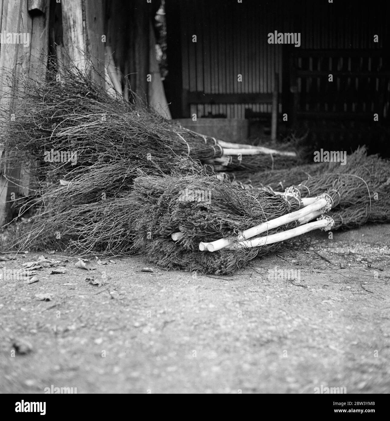 Besom making hi-res stock photography and images - Alamy