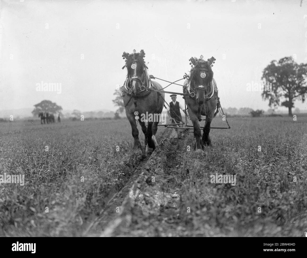 Ploughing matches henley agricultural show one attractions henley on ...