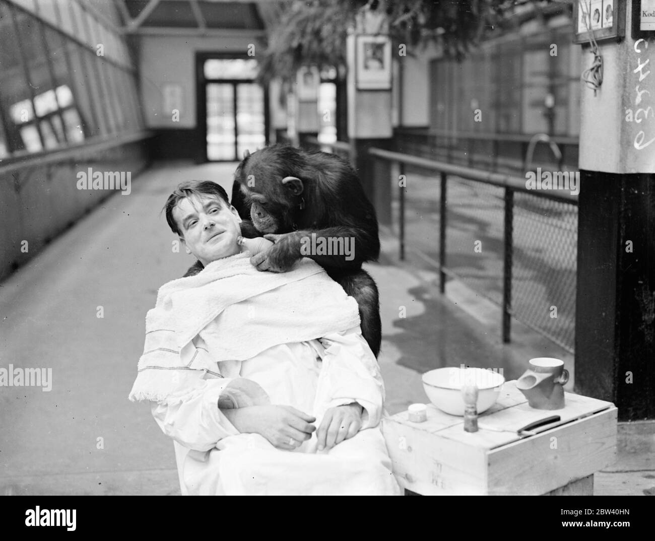 Monkey house zoo hi-res stock photography and images - Alamy