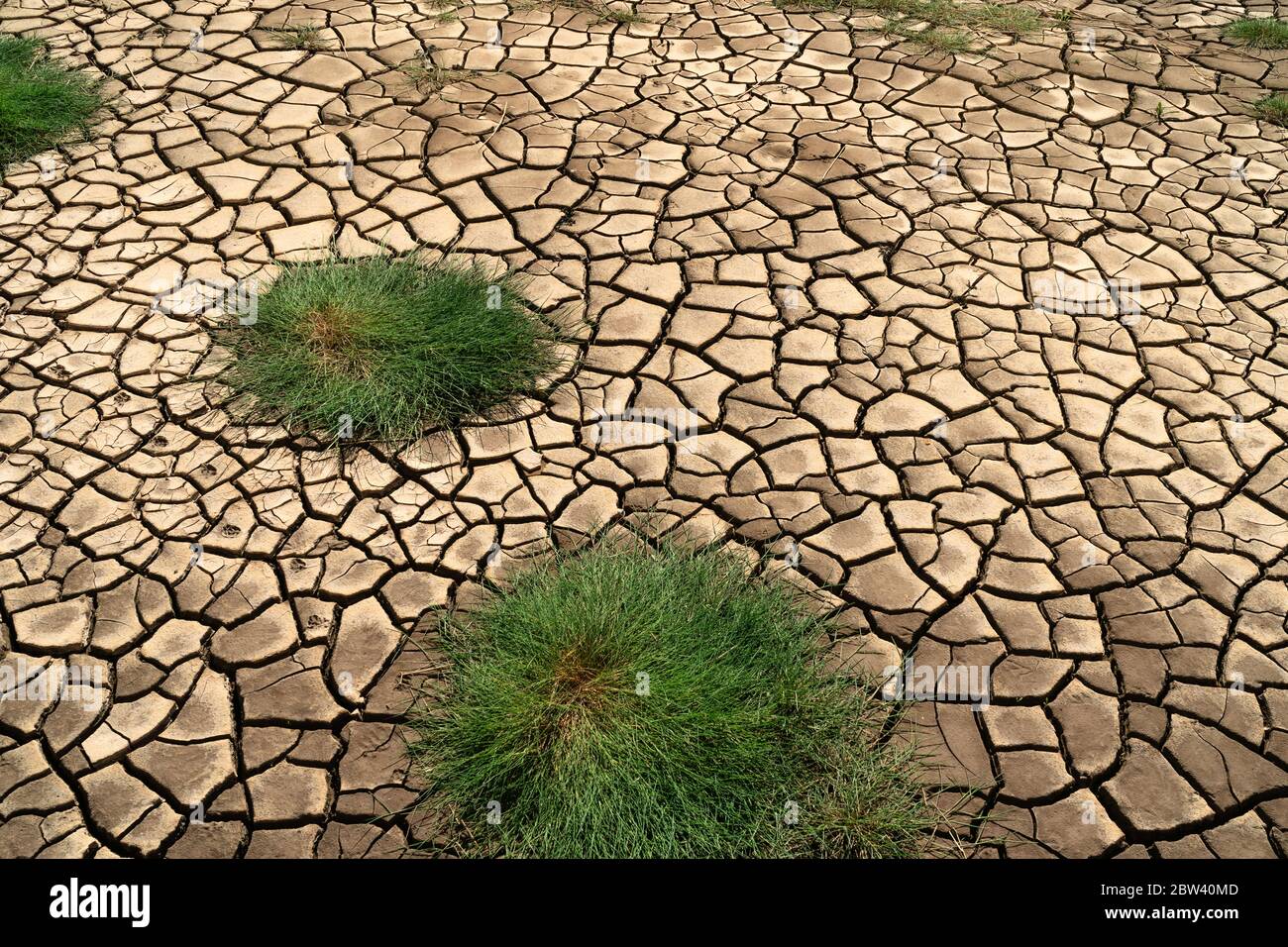 Dry riverbed of river Hull at low tide with grass tufts following ...