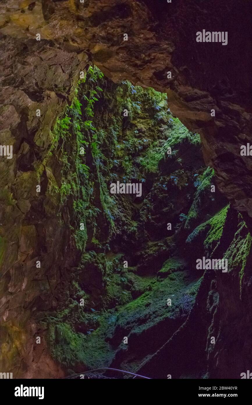 Cave in an extinct volcano on the island of Terceira Gruta do Algar do ...